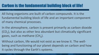 LT2.4 Carbon Cycle | PPTX