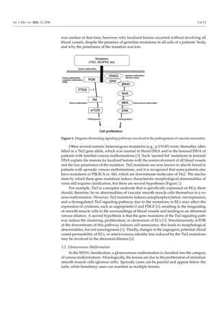 VM and genetics.pdf