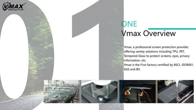 2019 Vmax introduction from viola | PDF | Business | Business and Finance