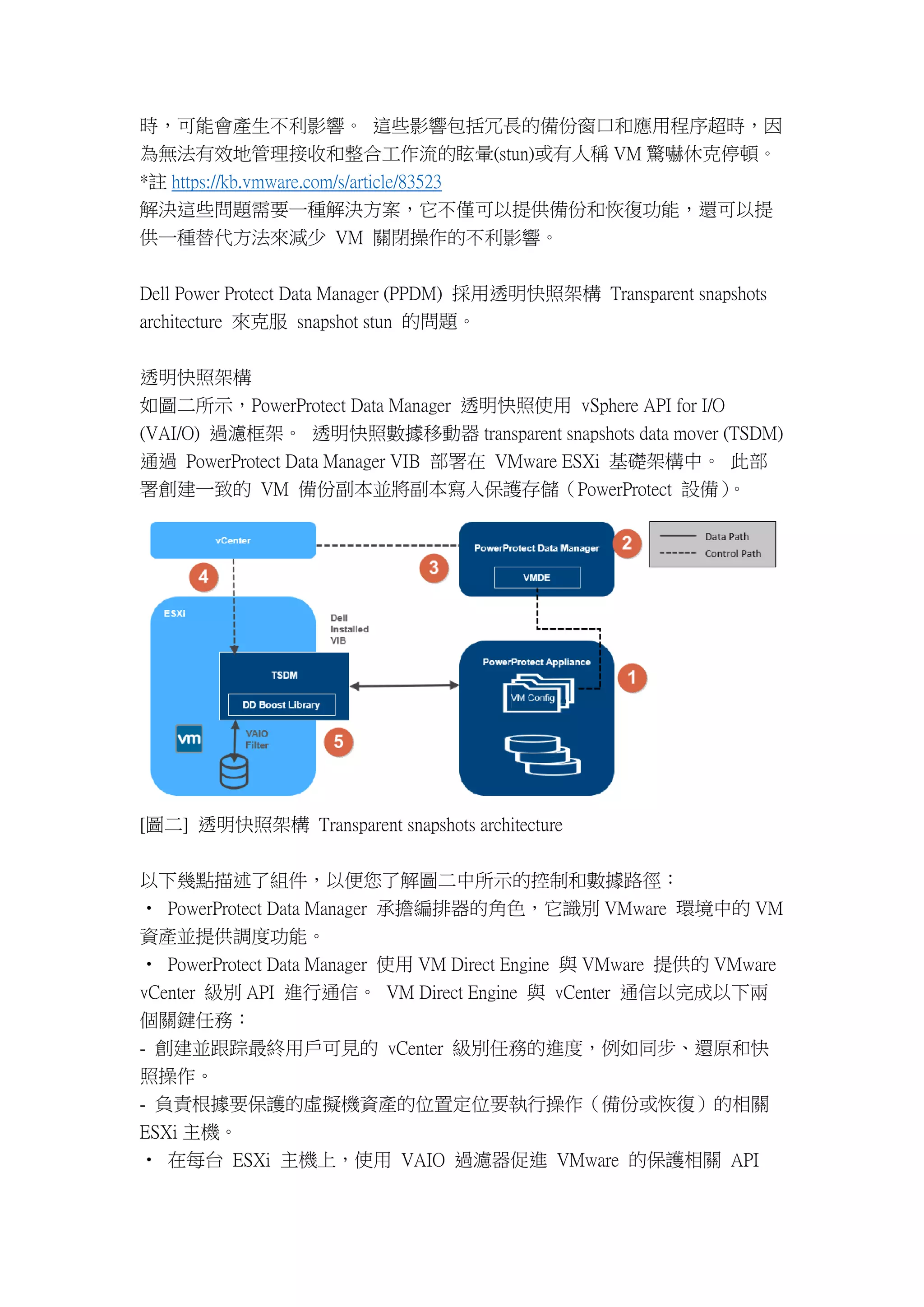 【VM保護備份專題】Dell Power Protect Data Manager (PPDM) 詳解TSDM機制 | DOCX