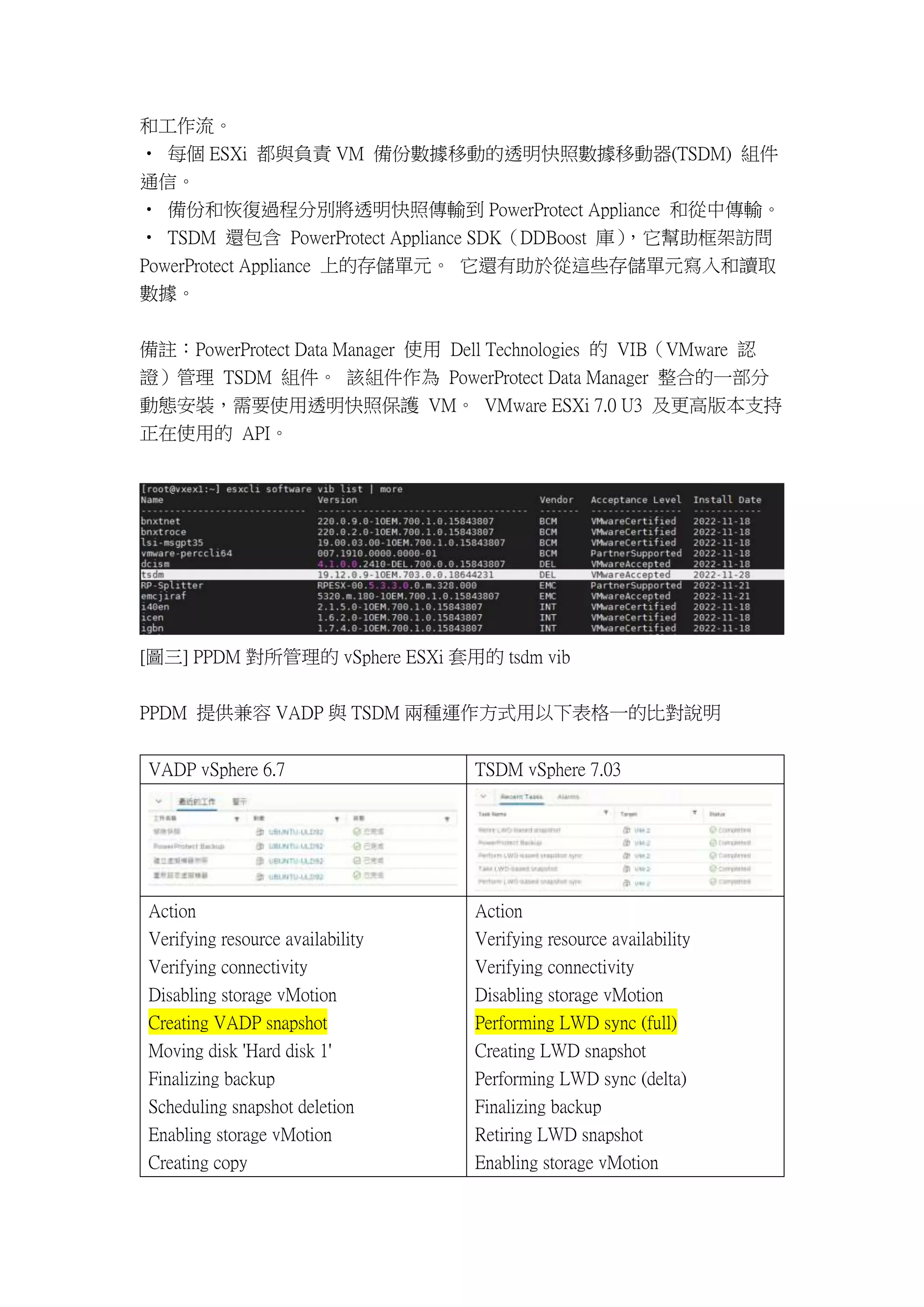 【VM保護備份專題】Dell Power Protect Data Manager (PPDM) 詳解TSDM機制 | DOCX