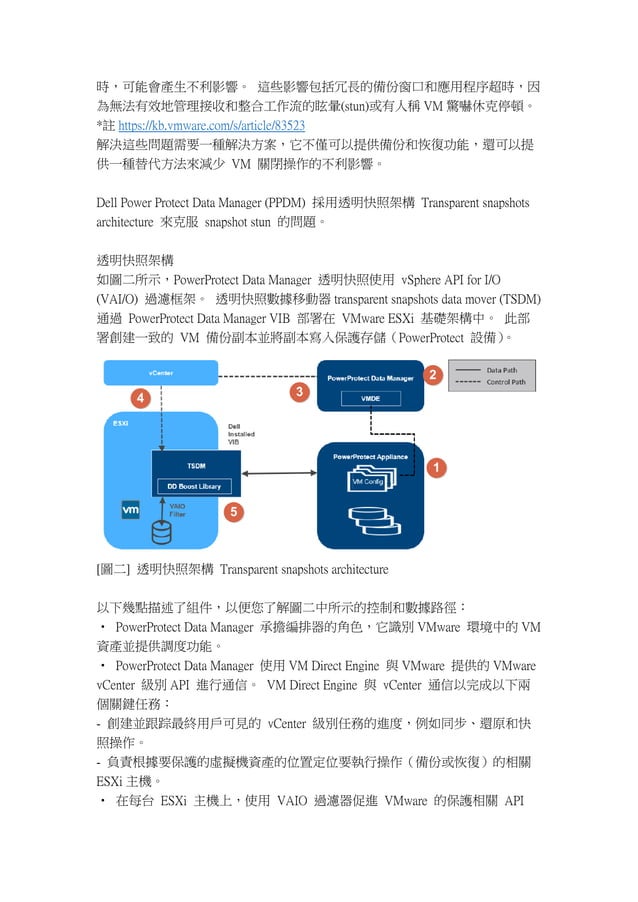 【VM保護備份專題】Dell Power Protect Data Manager (PPDM) 詳解TSDM機制 | DOCX