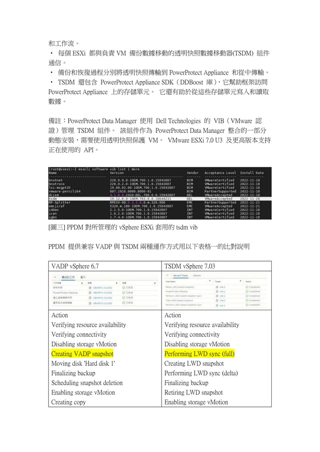 【VM保護備份專題】Dell Power Protect Data Manager (PPDM) 詳解TSDM機制 | DOCX