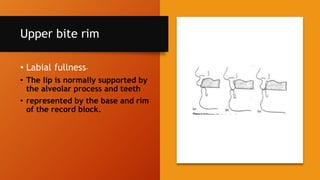 jaw_relations_concise_pavan.pptx | Dental Health | Diseases and Conditions