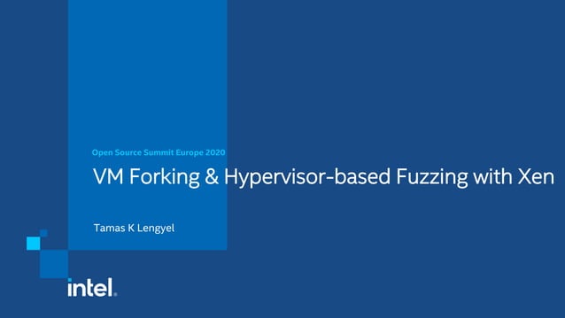 VM Forking and Hypervisor-based Fuzzing with Xen | PPT