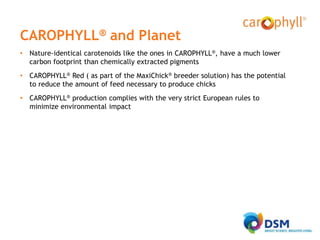 Vms carophyll sustainable animal production april 2014 | PPT