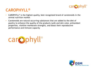 Vms carophyll sustainable animal production april 2014 | PPT