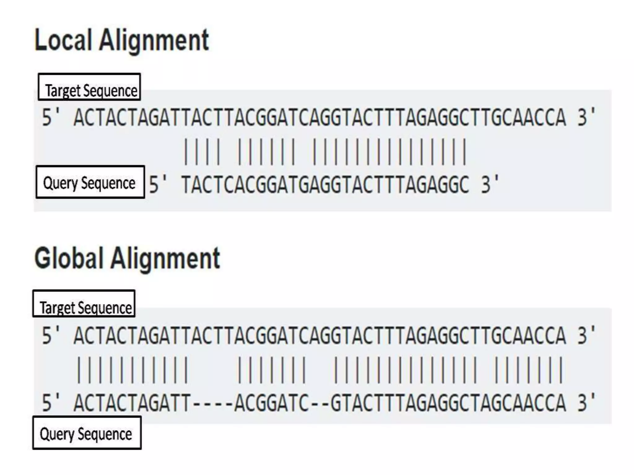 PPT ON ALGORITHM | PPT
