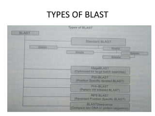 PPT ON ALGORITHM | PPTX