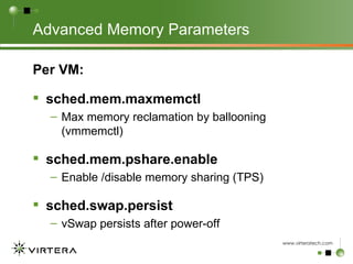 VMWare Performance Tuning by Virtera (Jan 2009) | PPT