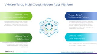 VMware Tanzu Portfolio Guide 2023 Shouheng Ting, Solution Engineer | PDF