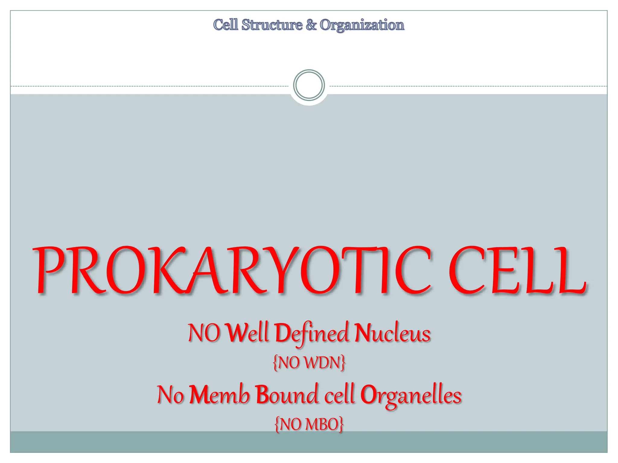 Chapter_5_Cell_structure_and_Organisation.pptx | Biological Sciences ...