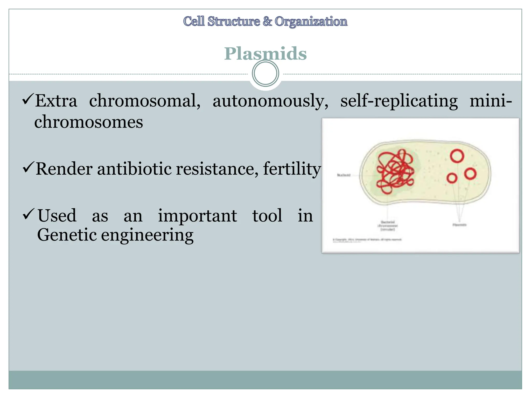 Chapter_5_Cell_structure_and_Organisation.pptx