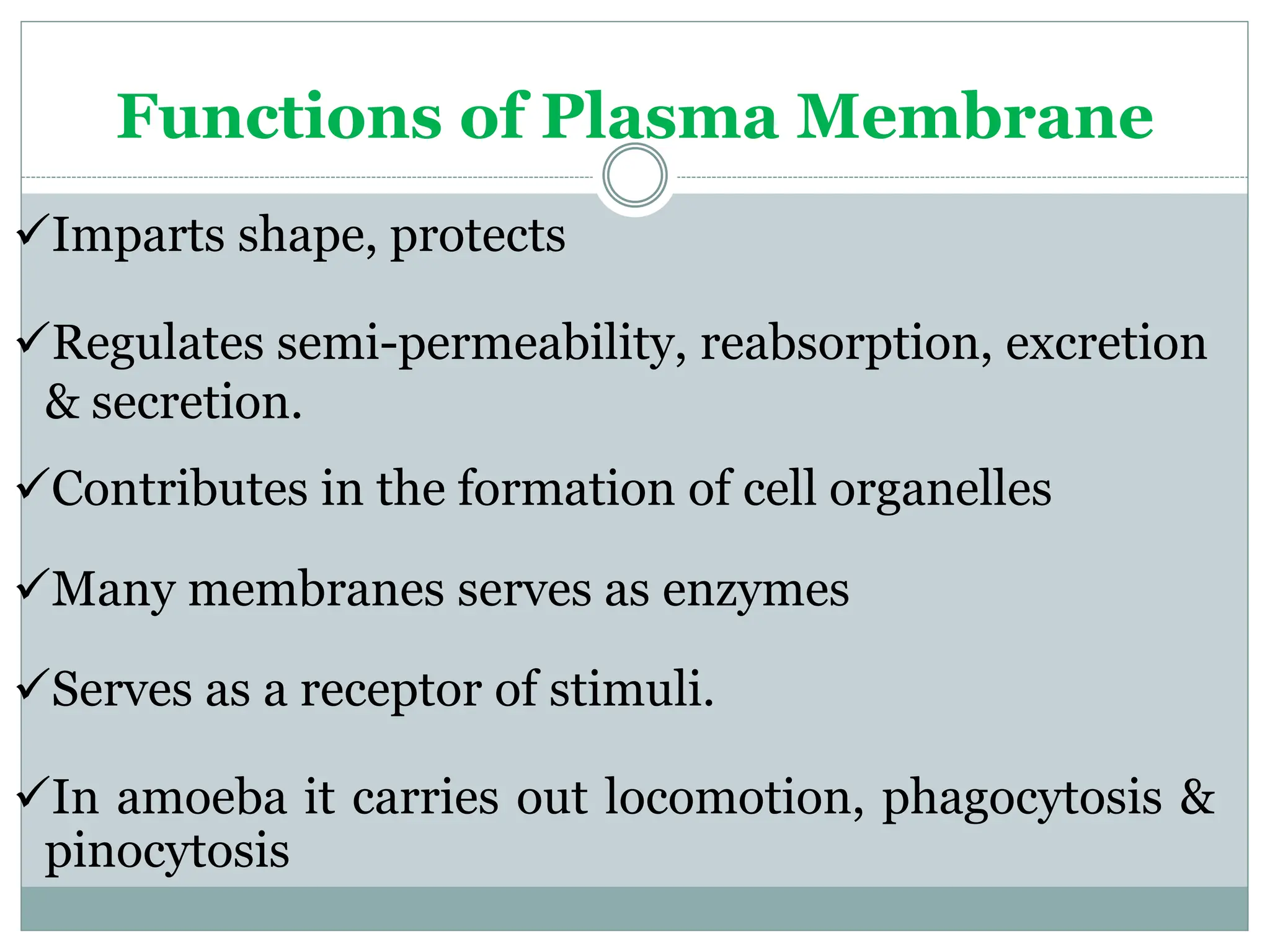Chapter_5_Cell_structure_and_Organisation.pptx