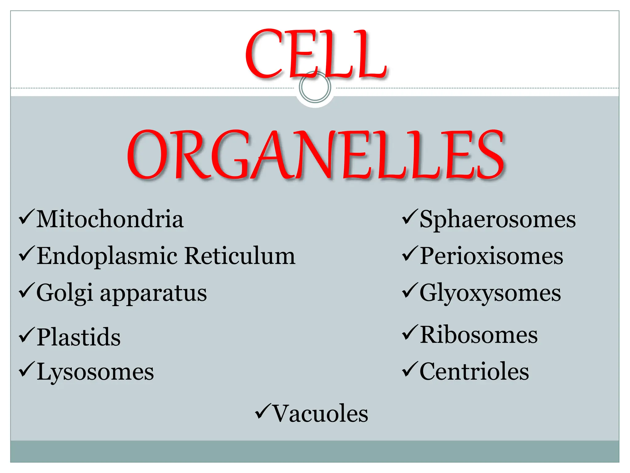 Chapter_5_Cell_structure_and_Organisation.pptx