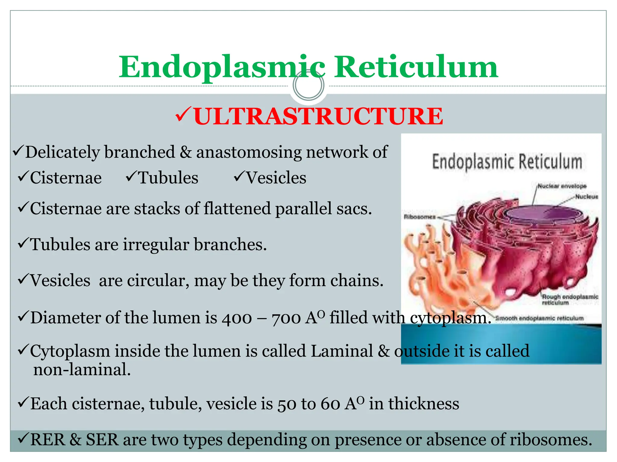 Chapter_5_Cell_structure_and_Organisation.pptx