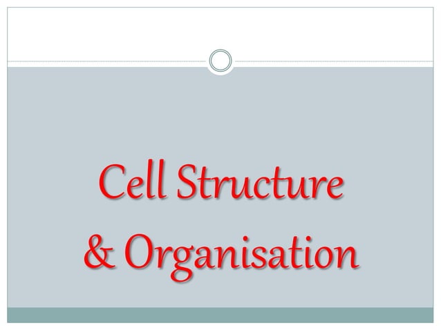 Chapter_5_Cell_structure_and_Organisation.pptx | Biological Sciences ...