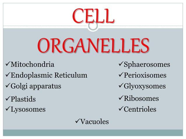 Chapter_5_Cell_structure_and_Organisation.pptx | Biological Sciences | Science