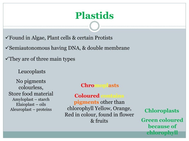 Chapter_5_Cell_structure_and_Organisation.pptx | Biological Sciences | Science