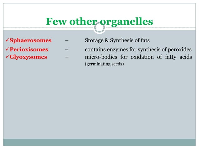 Chapter_5_Cell_structure_and_Organisation.pptx | Biological Sciences | Science