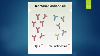 COVID-19 Immunopathogenesis – PPT & pdf file | PPT