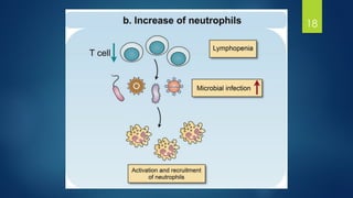 COVID-19 Immunopathogenesis – PPT & pdf file | PPT