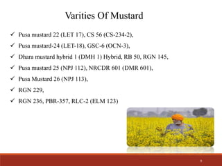 Processing and Extraction of Oilseeds ( Mustard & Sunflower) | PPTX