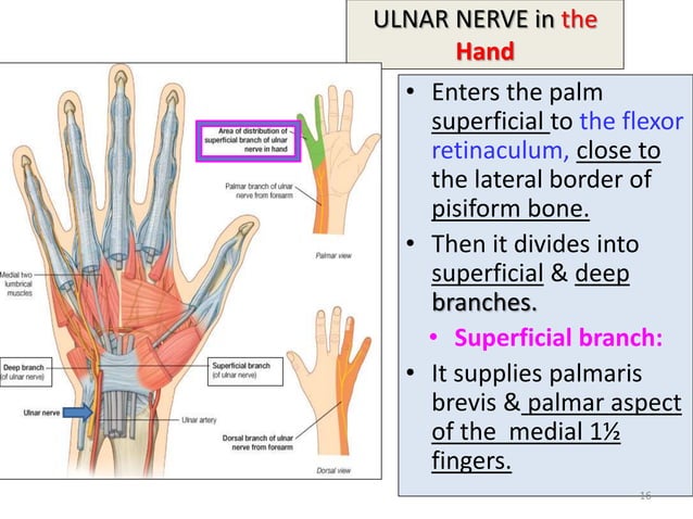 vnd.ms-powerpoint&rendition=1-1.ppt