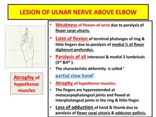 vnd.ms-powerpoint&rendition=1-1.ppt