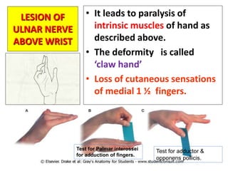 vnd.ms-powerpoint&rendition=1-1.ppt