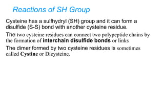 GENERAL REACTIONS OF AMINO ACIDS vnd.ms-powerpoint&rendition=1-5.ppt ...