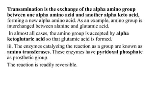GENERAL REACTIONS OF AMINO ACIDS vnd.ms-powerpoint&rendition=1-5.ppt ...