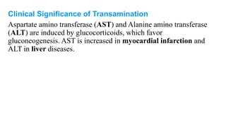 GENERAL REACTIONS OF AMINO ACIDS vnd.ms-powerpoint&rendition=1-5.ppt ...