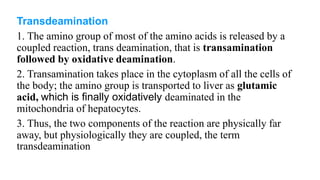 GENERAL REACTIONS OF AMINO ACIDS vnd.ms-powerpoint&rendition=1-5.ppt ...