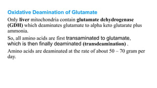 GENERAL REACTIONS OF AMINO ACIDS vnd.ms-powerpoint&rendition=1-5.ppt ...