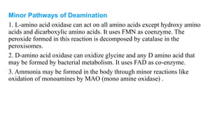 GENERAL REACTIONS OF AMINO ACIDS vnd.ms-powerpoint&rendition=1-5.ppt ...