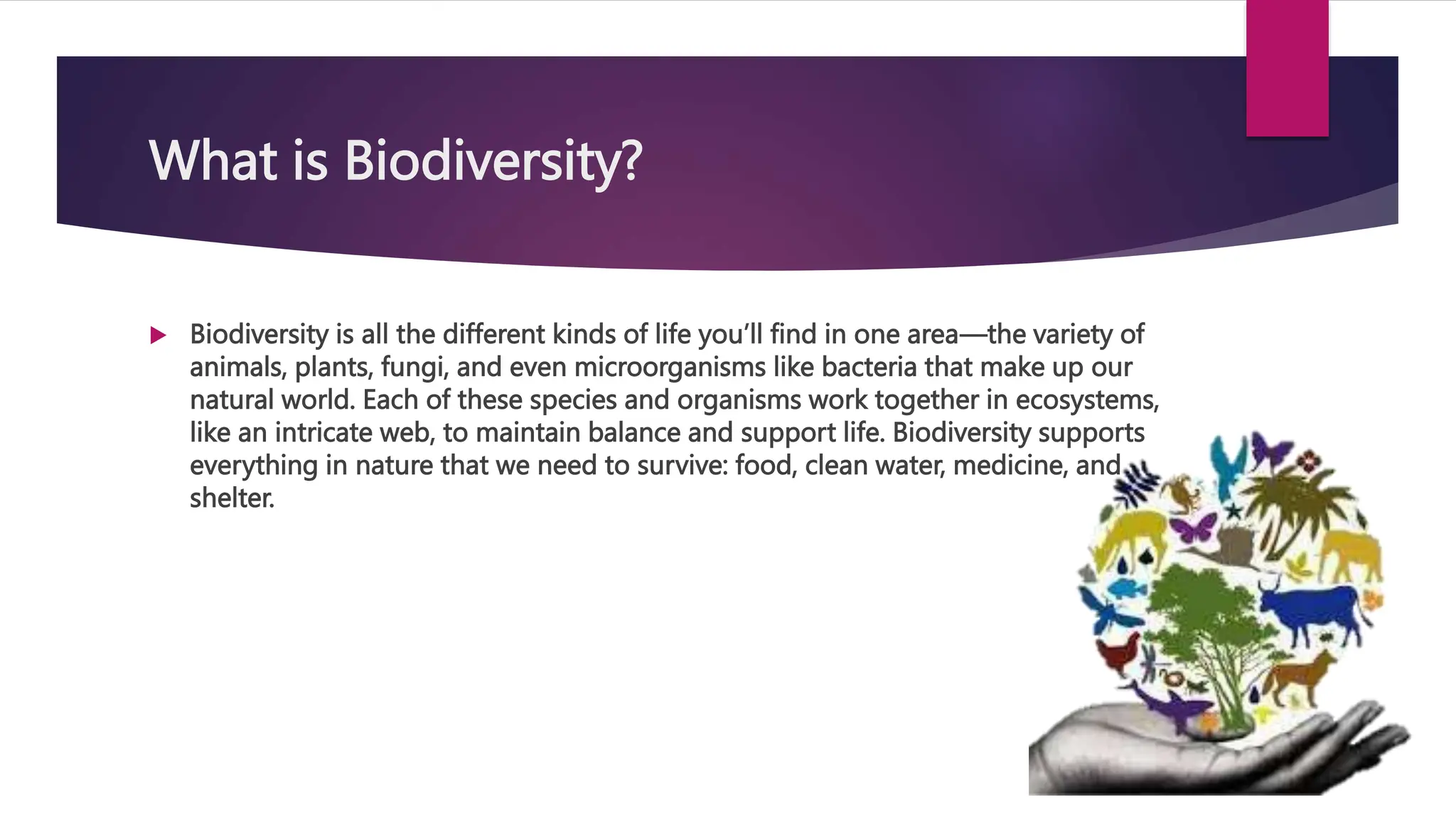 vnd.openxmlformats-officedocument.presentationml.presentation&rendition=1.pptx