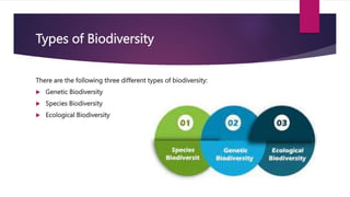 vnd.openxmlformats-officedocument.presentationml.presentation&rendition=1.pptx