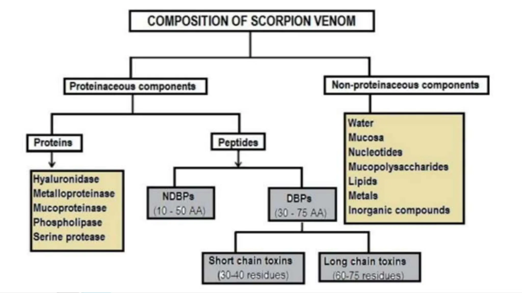 Insect Venom specifically of spiders and Scorpions | PPTX