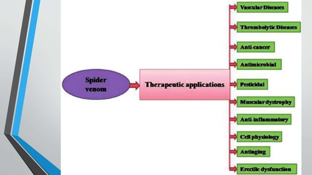 Insect Venom specifically of spiders and Scorpions | PPTX | Chemistry ...