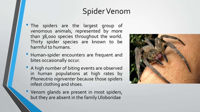 Insect Venom specifically of spiders and Scorpions | PPTX | Chemistry ...