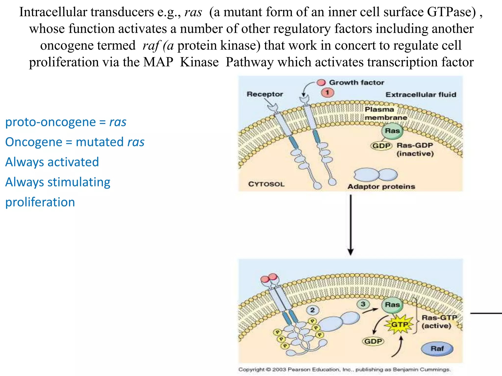 oncogene as a transcription activator | PPTX