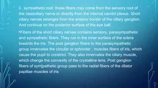 Trigeminal nerve.pptx