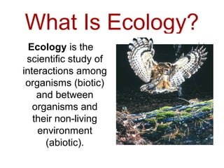 Ecology notes | PPT