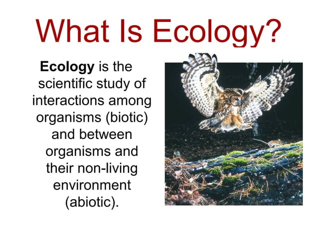 Ecology notes | PPT