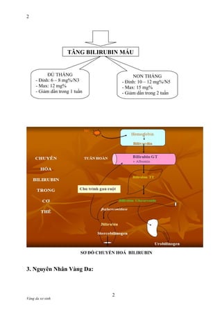 Vàng da sơ sinh | DOC