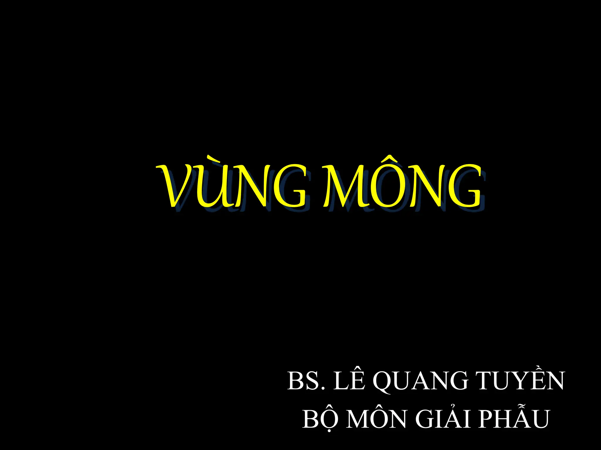 Giải phẫu vùng mông - Đại học y khoa Phạm Ngọc Thạch | PPT
