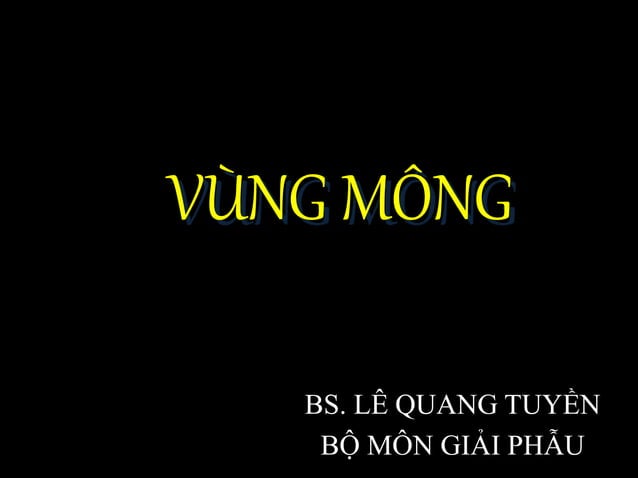 Giải phẫu vùng mông - Đại học y khoa Phạm Ngọc Thạch | PPT