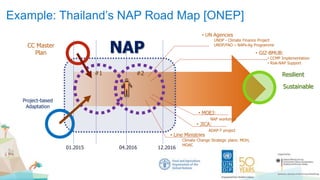 NAP Training Viet Nam - Stock Taking for National Adaptation Planning | PPT