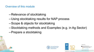NAP Training Viet Nam - Stock Taking for National Adaptation Planning | PPT